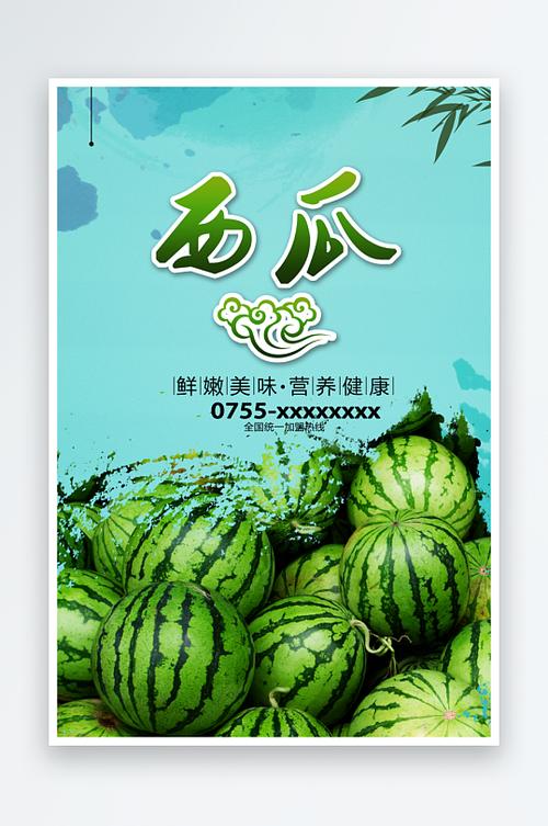 西瓜的宣传文案截图