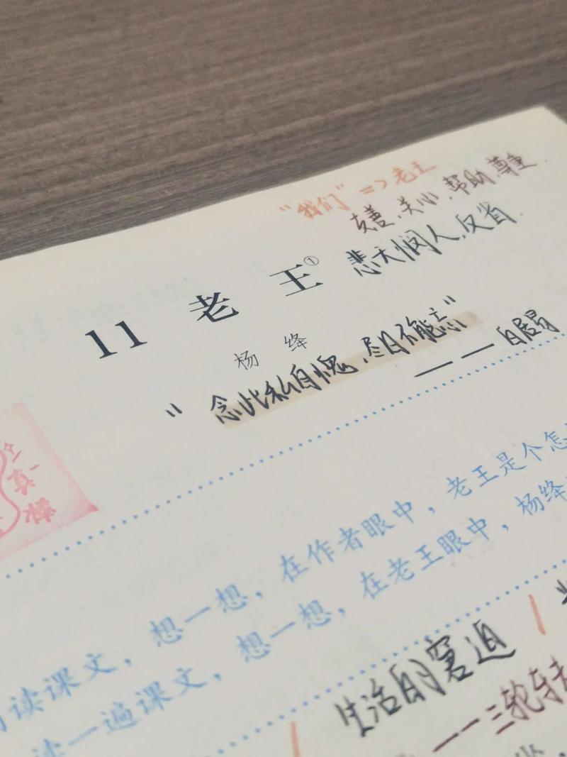 老王破校花王曼茹最新章节更新