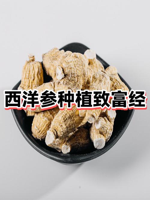 西洋参对冠心病的好处图标