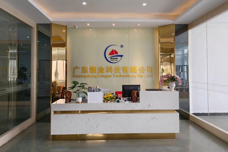广东鼎领智能科技有限公司图标