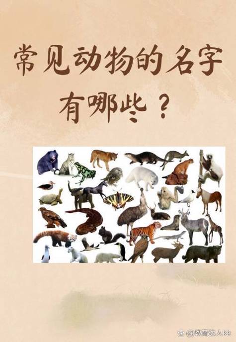 动物大全500种banner图