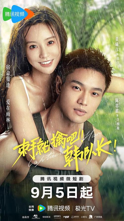 影视大全免费观看电视剧2023截图