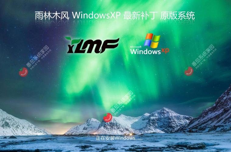 下载系统纯净版图标
