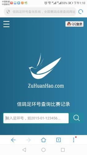 信鸽查询网足环号查询系统图标