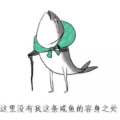 身为舰长的我只想咸鱼截图