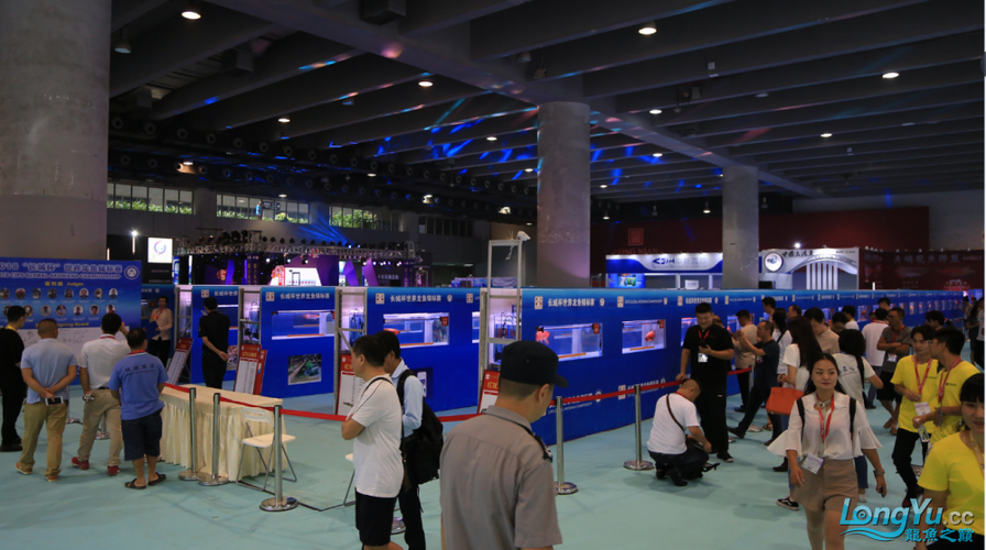 广州国际水族展览会截图