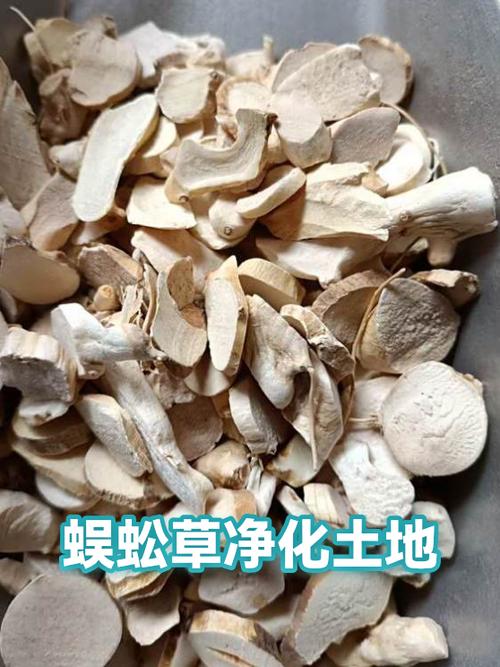 净化土地的植物截图