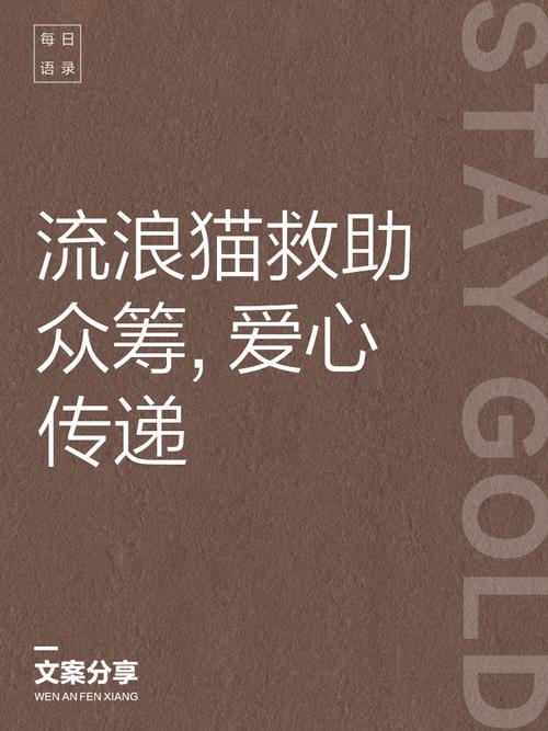喵神(原神公益服)图标