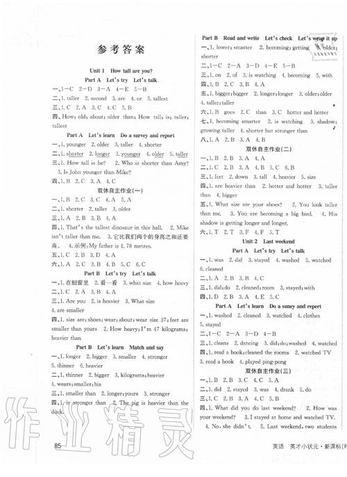 答案六年级英才小状元截图