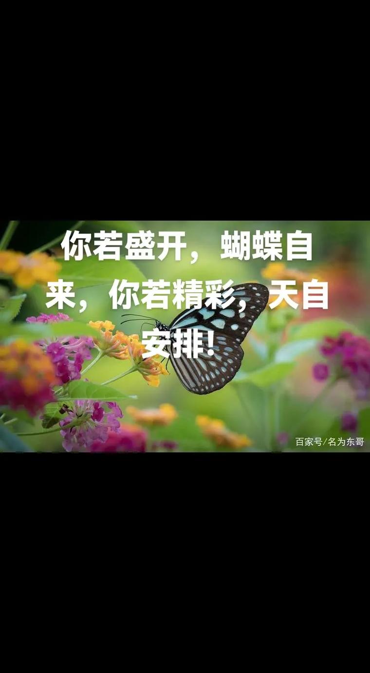 你若花开蝴蝶自来下句缩略图