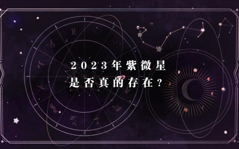 天降紫微星什么意思图标