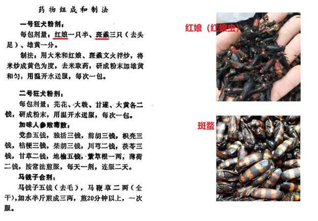 土鳖虫的功效与作用截图