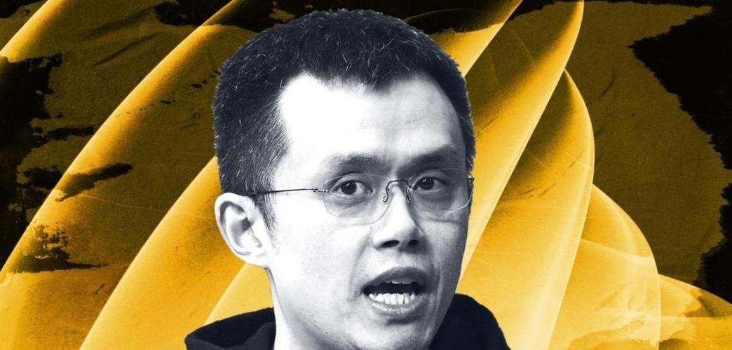 赵长鹏为什么不回中国图标
