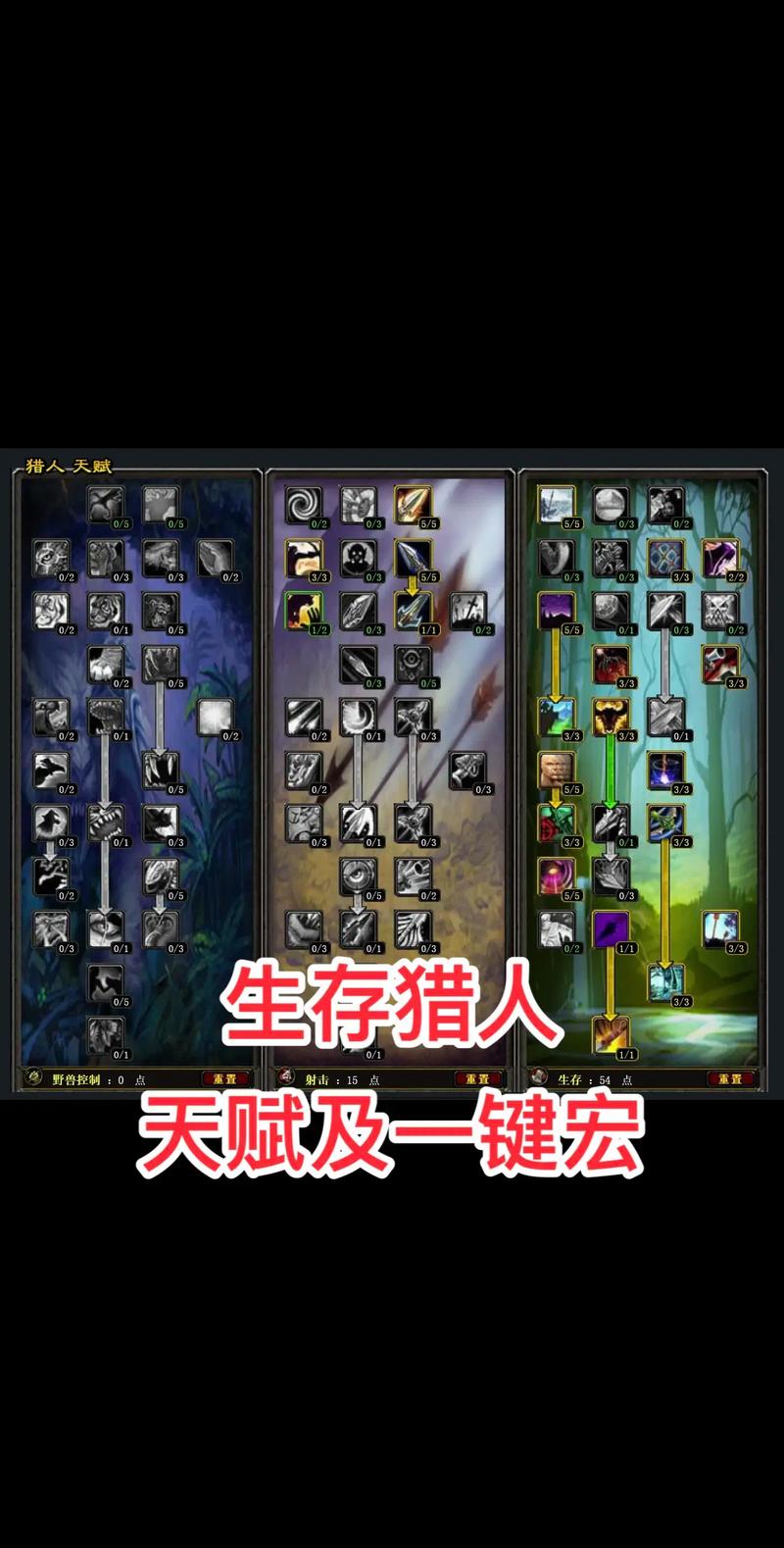 tbc猎人野外pvp天赋图标