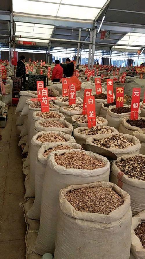 神农彩中药材网站图标