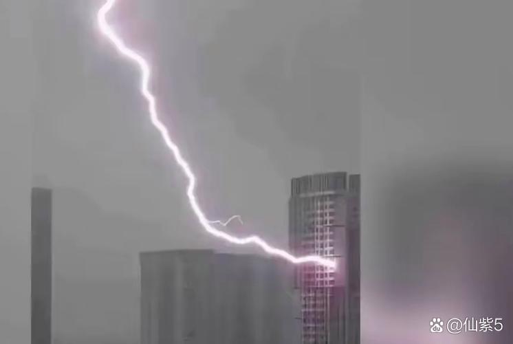 雷电2003图标
