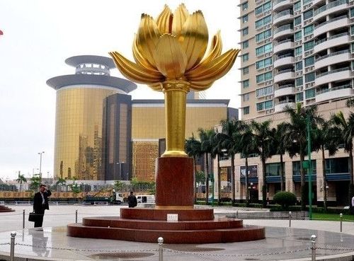 澳门的金花是什么花图标