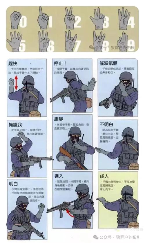 双手战士的优点和缺点