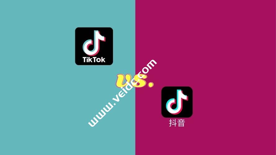 tiktok免墙版图标