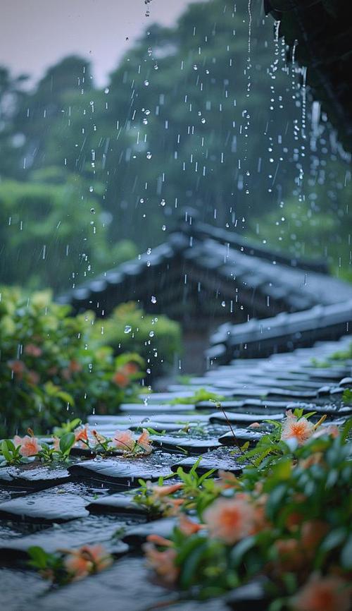 雨里的图片