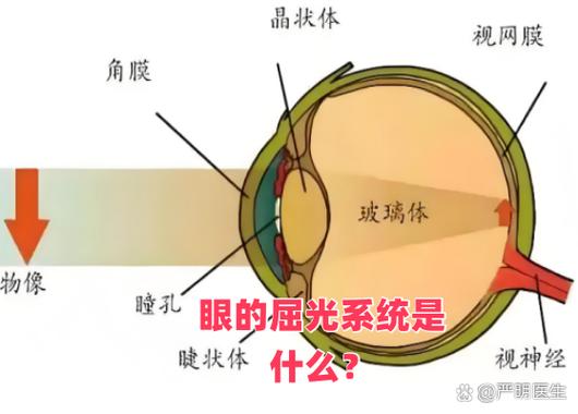 玻璃眼是什么意思图标