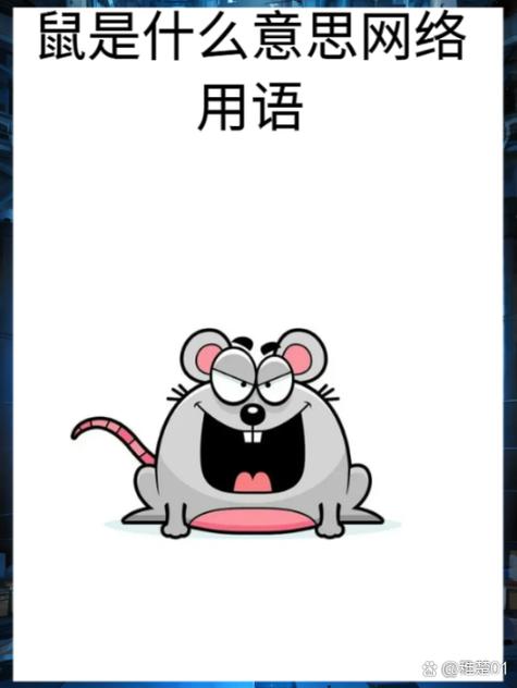 老鼠比喻社会上什么人截图