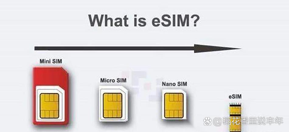 esim有什么用图标