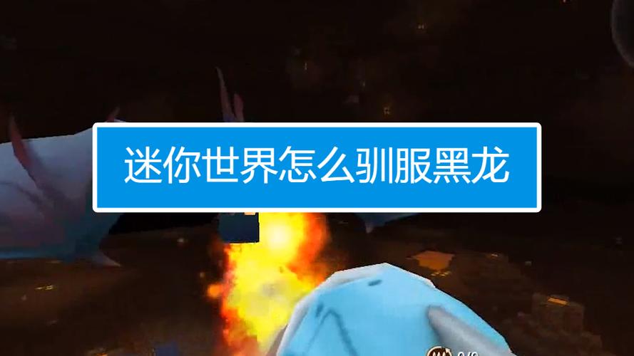 迷你世界创造如何驯服黑龙截图