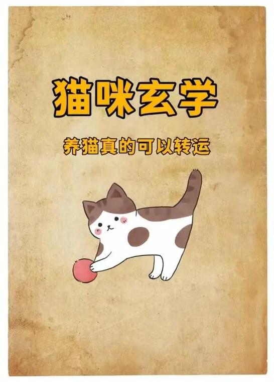 玄学上养猫有什么影响
