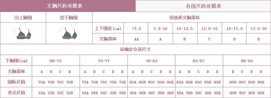 胸罩的组词截图