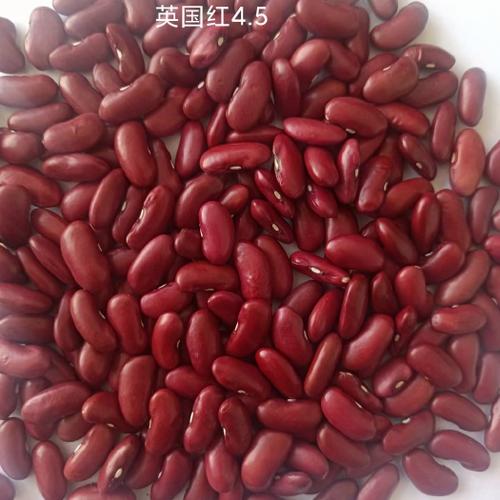 克拉克拉10000红豆多少钱图标