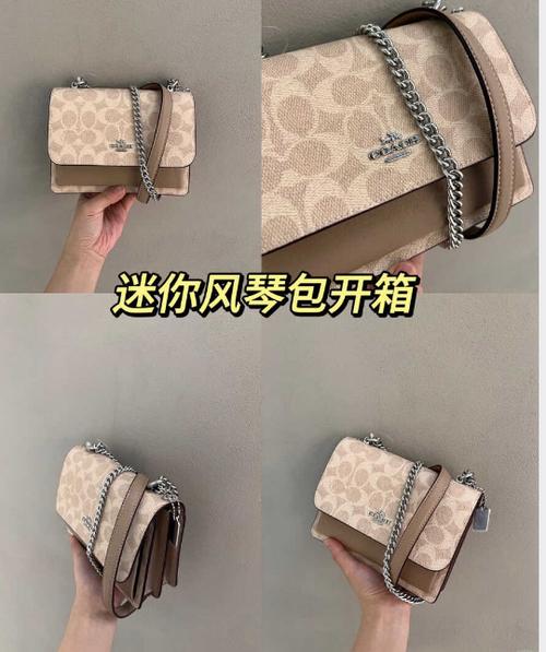 女人买蔻驰是暗示什么