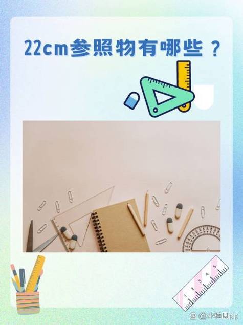 22cm的参照物有多大图标