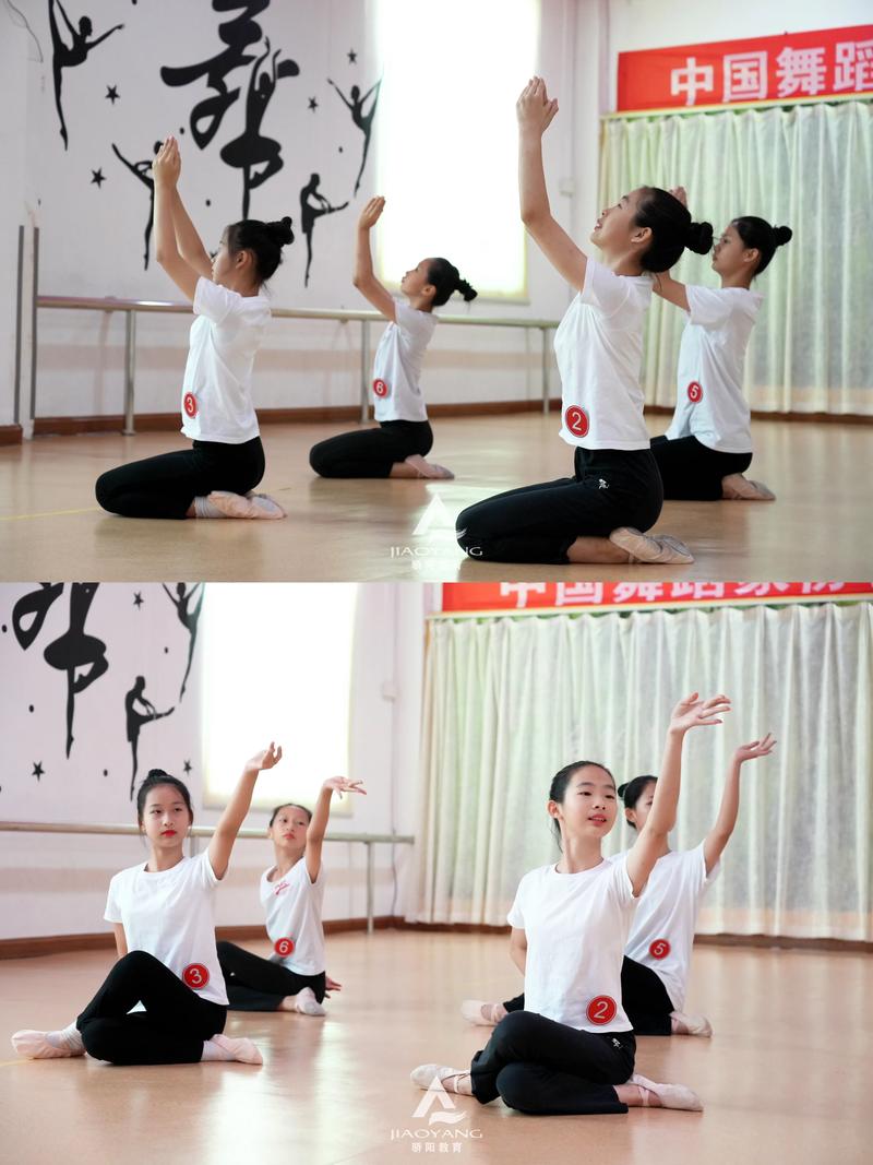 中国舞需要考级吗图标