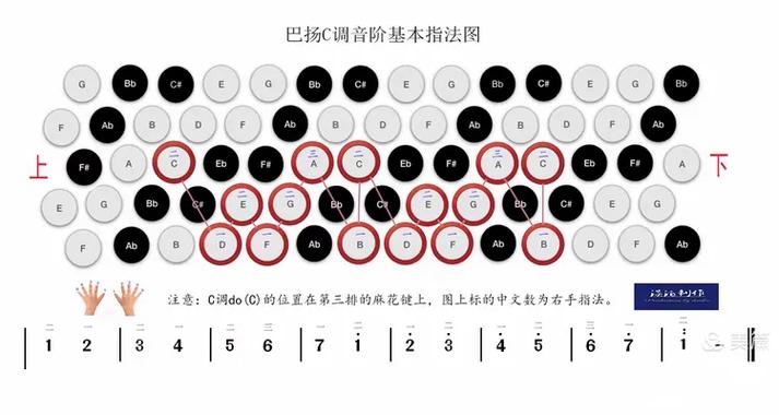 巴扬手风琴指法表图标