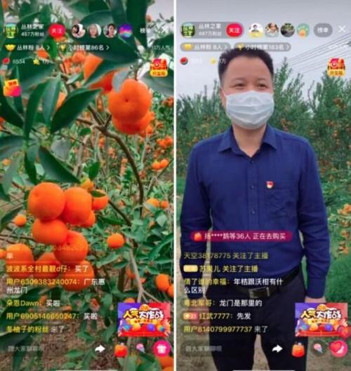 西瓜开直播怎么赚钱图标