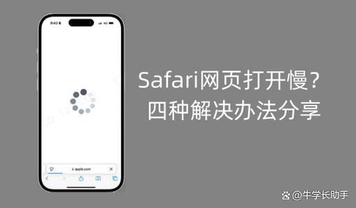 在safari中打开图标