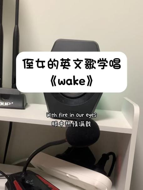 wake那首歌女主唱截图