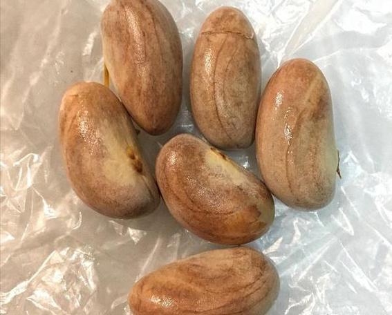 菠萝蜜籽有毒吗截图