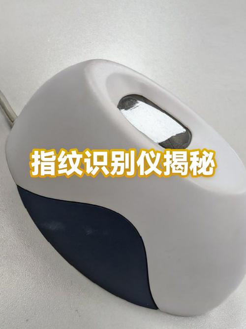 屏下指纹都是oled屏吗图标