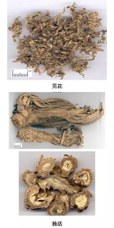看脚足迹软件图标