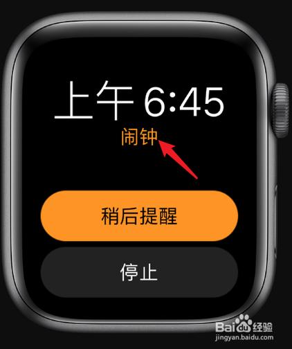苹果手表时间显示图标