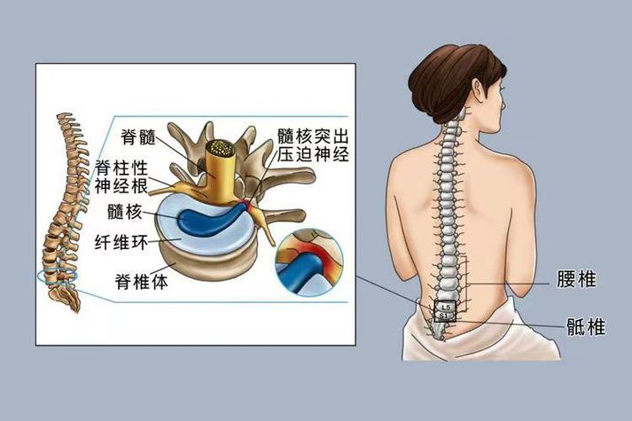 60-70岁肌酐一览表图标