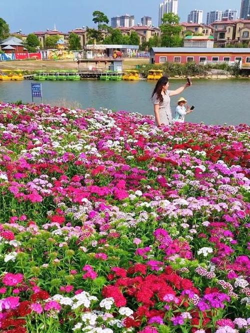 各种鲜花图片大全大图缩略图