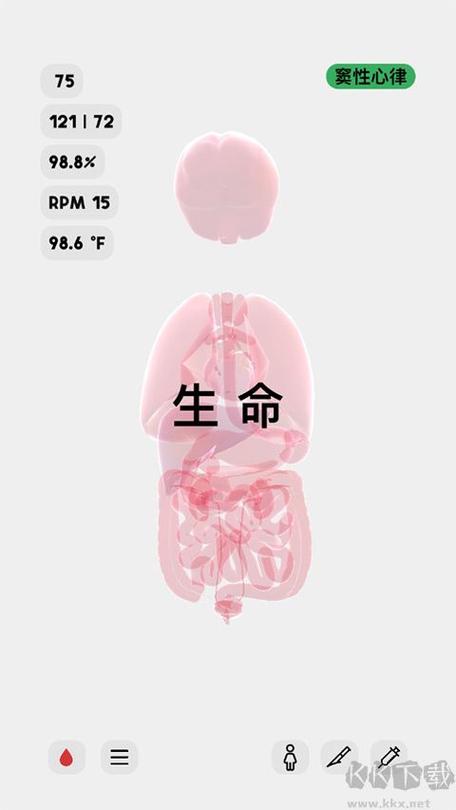 生命人体模拟器