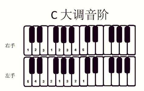 G大调与D大调是什么都关系图标