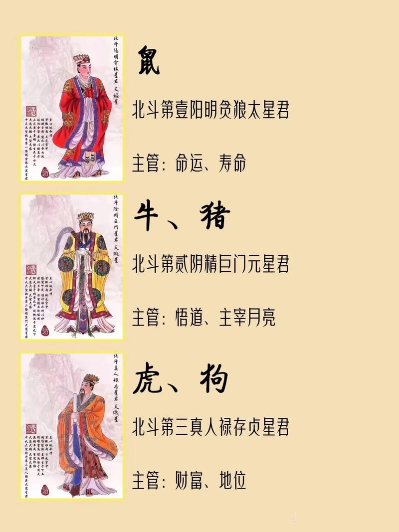 本命元神是什么意思图标