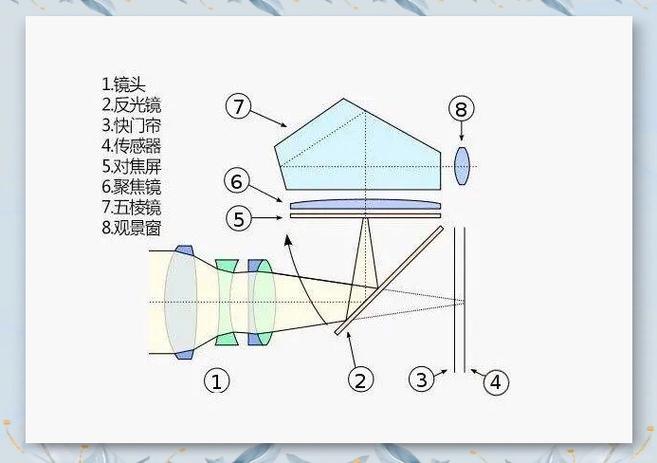 新手入门如何挑选相机
