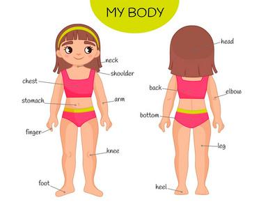 mybody为什么那么贵图标