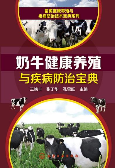 奶牛喂养方法图标